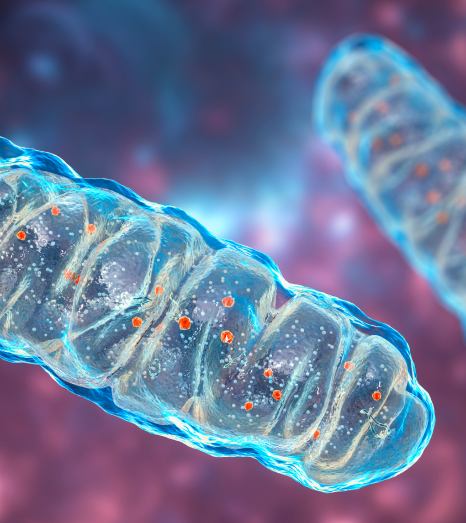 Longevity Certification | nuBioAge