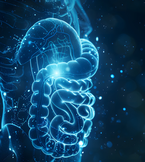 Longevity Certification | nuBioAge