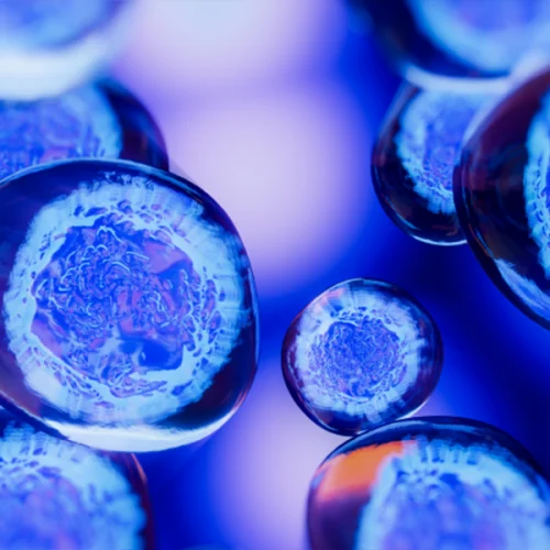 nuBioAge | Longevity Medicine Hub for Health Professionals